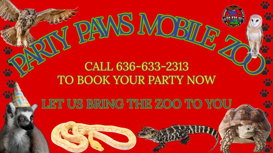 Welcome To Party Paws Petting Zoo | PartyPaws