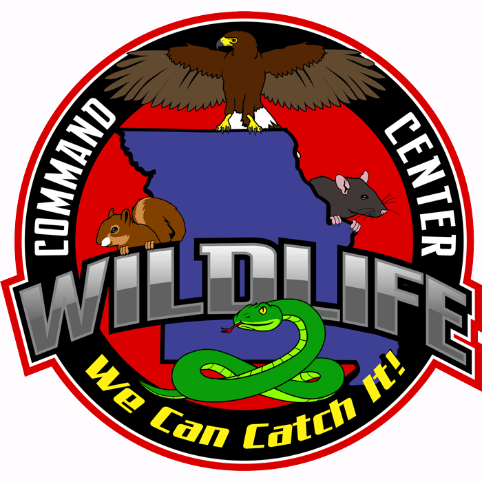 Welcome To Party Paws Petting Zoo | PartyPaws