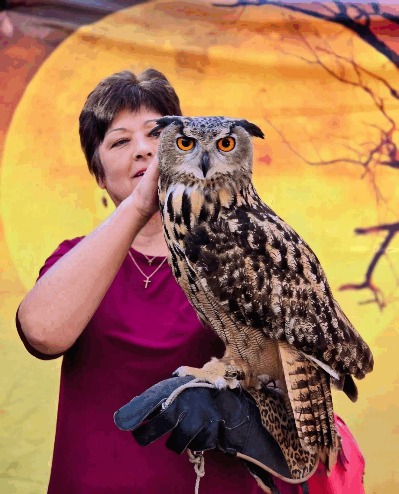 Owl Experience | PartyPaws